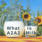 What is A2A2 Milk - Peaceful Heart Farm - Virginia Herd Shares
